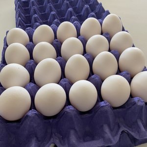 VOORTMAN’S EGG RANCH | 93 Photos & 94 Reviews | 13960 Grove Ave ...