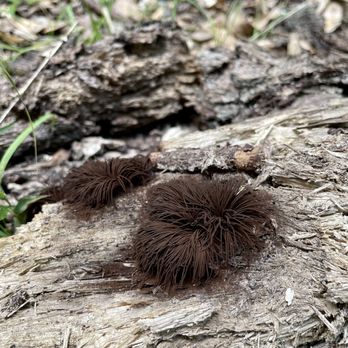 NORTH CHARLESTON WANNAMAKER COUNTY PARK - Updated September 2025 - 119 ...