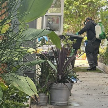 HOMESHIELD PEST CONTROL - Updated December 2025 - 233 Photos & 1247 ...