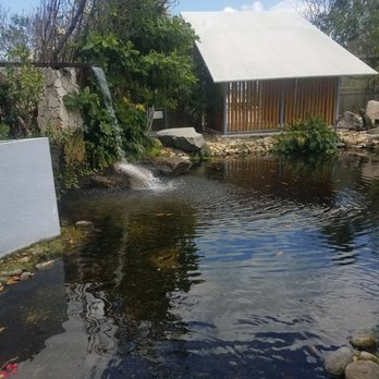 ICHIMURA MIAMI JAPANESE GARDEN - Updated December 2024 - 122 Photos ...