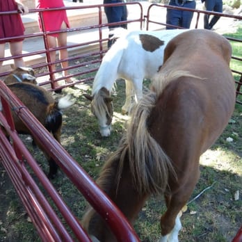 FORD FARMS - Updated October 2025 - 195 Photos & 32 Reviews - 22827 Rd ...