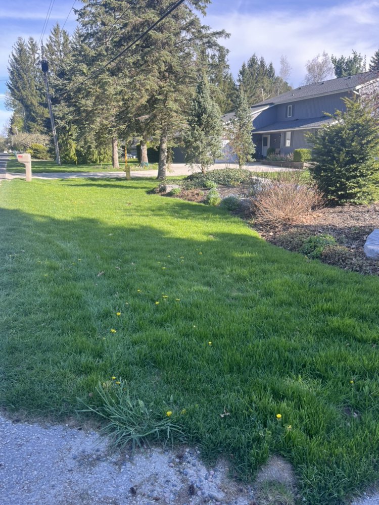 THE GRASS GURUS - Updated January 2025 - Request a Quote - Thornbury, Ontario - Lawn Services ...