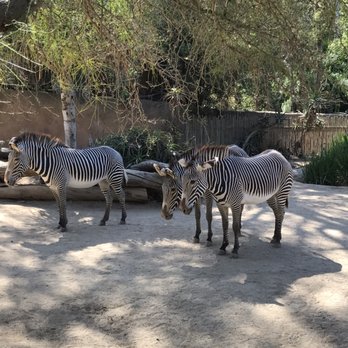 LOS ANGELES ZOO AND BOTANICAL GARDEN - Updated May 2025 - 7753 Photos & 2032 Reviews - 5333 Zoo ...