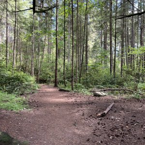 LAKE TRASK TIMBER TRAILS ASSOCIATION - Updated May 2025 - 15 Photos ...
