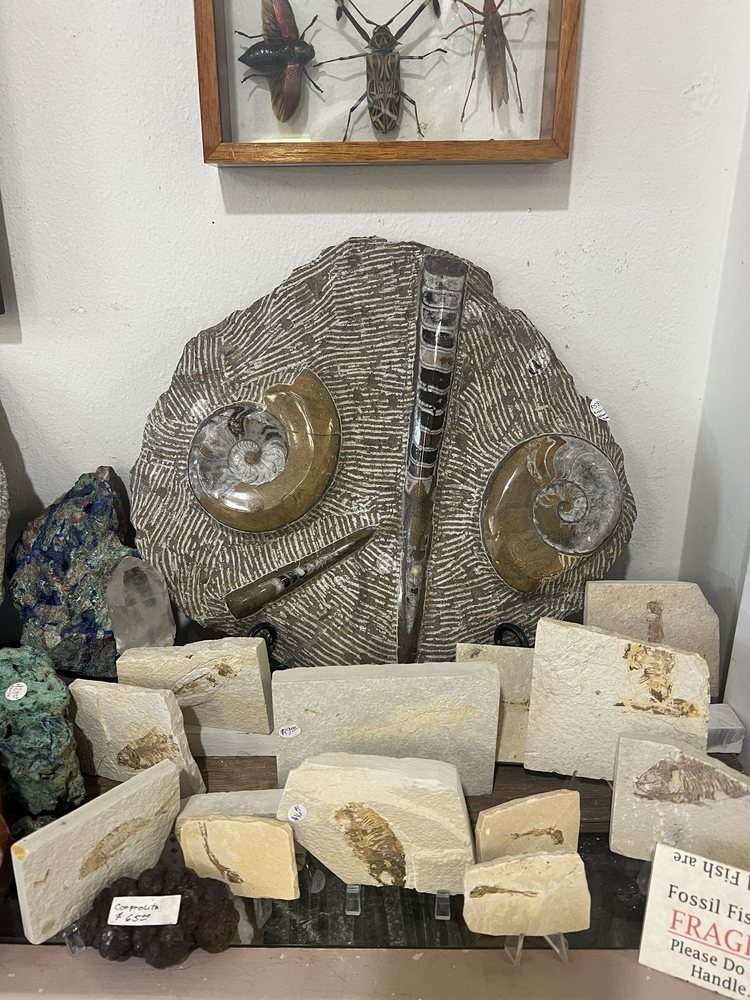 STONE MAN & GEM LADY - Updated July 2025 - 13 Reviews - 98 Jeff Davis ...