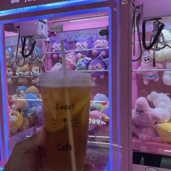 SWEET CATS CAFE - Updated October 2025 - 135 Photos & 29 Reviews - 21 E ...