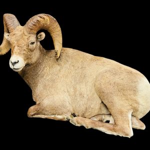 RENO ANTIQUE FAIRE - Updated August 2025 - 10 Photos - 301 N Virginia ...