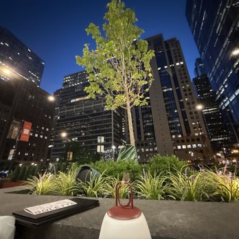 SOLETTE - Updated January 2026 - 34 Photos & 10 Reviews - 225 W ...