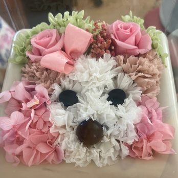 KAHALA ROSE - Updated December 2025 - 25 Photos & 10 Reviews - 201 ...