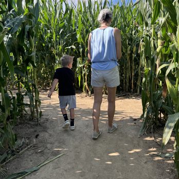 DULL’S TREE FARM - Updated October 2025 - 100 Photos & 52 Reviews ...