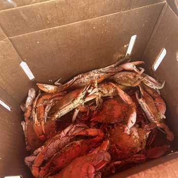 MUNICIPAL FISH MARKET AT THE WHARF - Updated August 2025 - 105 Photos ...