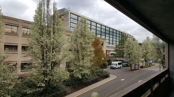 PROVIDENCE ST VINCENT MEDICAL CENTER - Updated June 2025 - 142 Photos ...