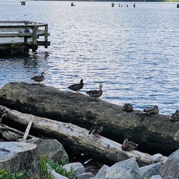 ORONOCO BAY PARK - Updated December 2025 - 91 Photos & 19 Reviews - 100 ...