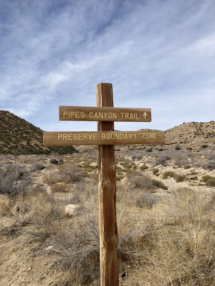 PIONEERTOWN MOUNTAINS PRESERVE - THE WILDLANDS CONSERVANCY - 25 Photos ...