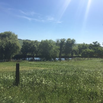 TOLAY LAKE REGIONAL PARK - Updated October 2025 - 143 Photos & 12 ...