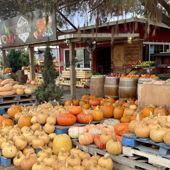 PRANCERS FARM - Updated December 2025 - 173 Photos & 51 Reviews - 18540 ...