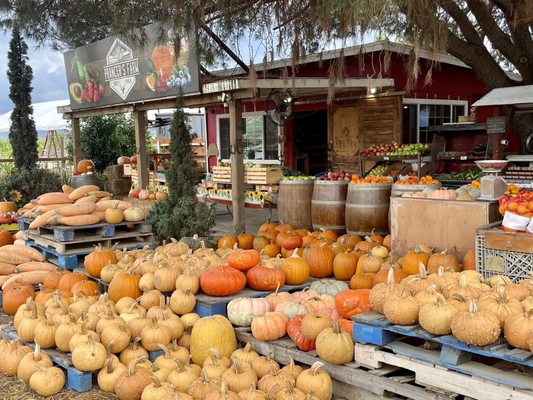 PRANCERS FARM - Updated October 2025 - 161 Photos & 50 Reviews - 18540 ...