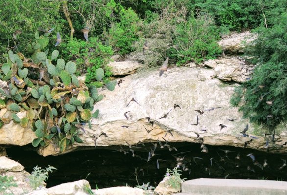 KICKAPOO CAVERN STATE PARK - Updated October 2024 - 26 Photos & 10 ...