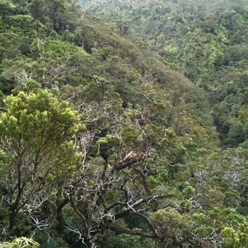 POAMOHO RIDGE TRAIL - Updated December 2025 - 98 Photos & 12 Reviews ...