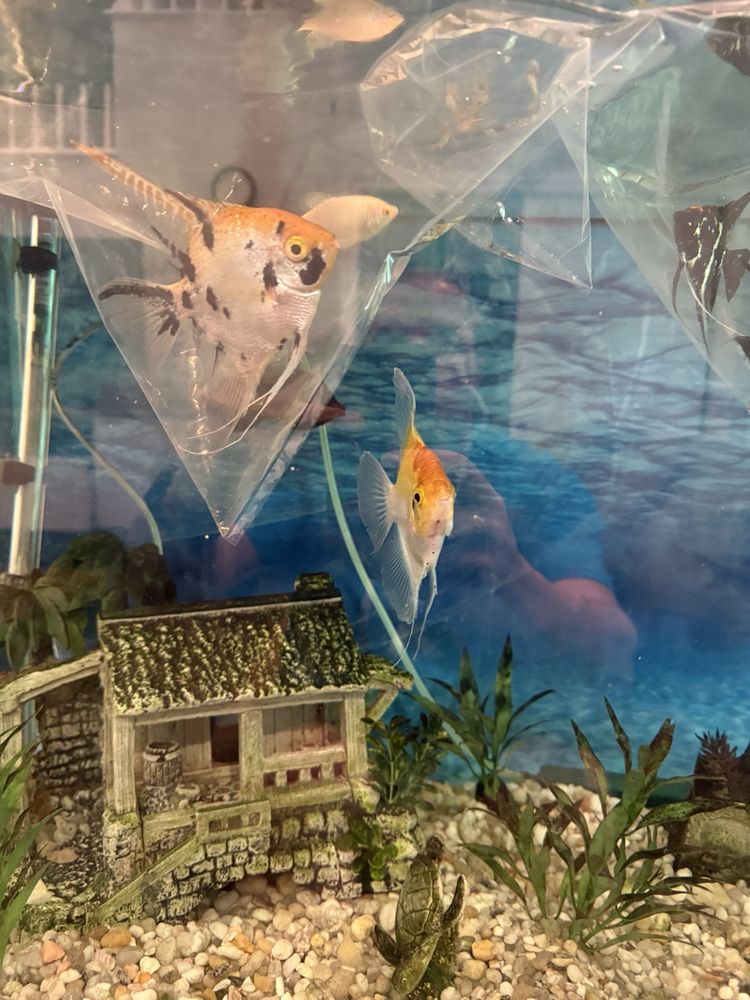 FISH DEN - Updated December 2025 - 21 Photos & 89 Reviews - 5055 W 44th ...