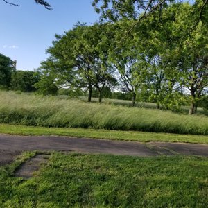 WOOSTER SQUARE PARK - 95 Photos & 13 Reviews - 570 Chapel St, New Haven ...