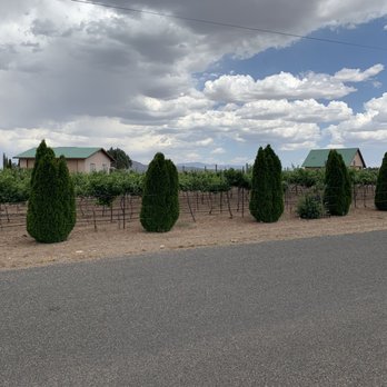 DEL RIO SPRINGS VINEYARD - Updated November 2025 - 26 Photos - 974 N ...