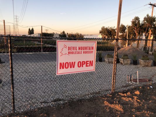 DEVIL MOUNTAIN WHOLESALE NURSERY - REDONDO BEACH - Updated December ...