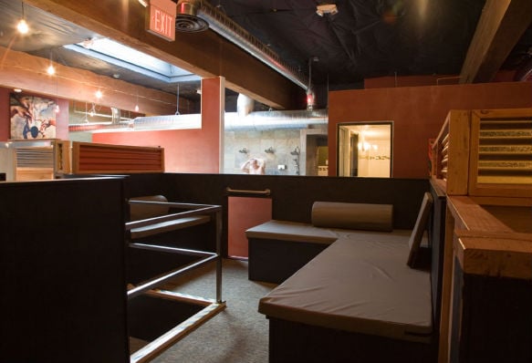 HAWKS PDX - Updated January 2026 - 35 Reviews - 335 SE 99th Ave, Portland, Oregon - Adult ...