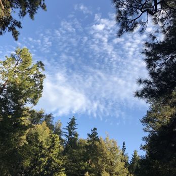 FERN BASIN CAMPGROUND - Updated October 2025 - 44 Photos & 22 Reviews ...