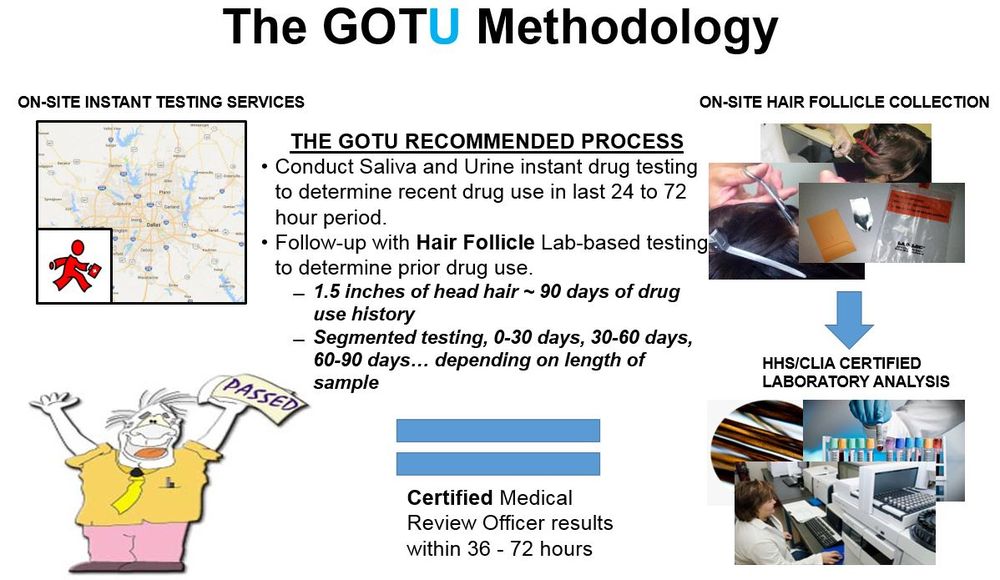 GLOBAL OCCUPATIONAL TESTING UNLIMITED - Updated May 2024 - 13465 Midway ...