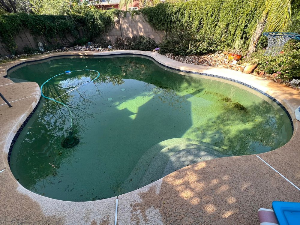 SHARK ATTACK POOLS - Updated April 2025 - 21 Photos - Glendale, Arizona ...