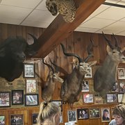 OLE’S BIG GAME STEAKHOUSE & LOUNGE - 205 Photos & 143 Reviews ...