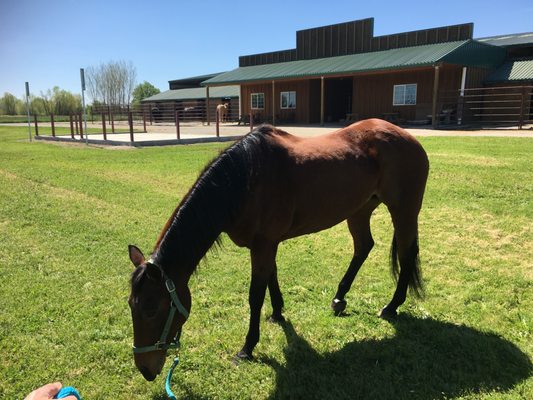 RED DOG RANCH - Updated August 2025 - 5173 Franklin Rd, Yuba City ...