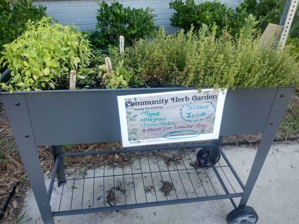 WEST ASHLEY LIBRARY - Updated September 2024 - 23 Photos - 45 ...