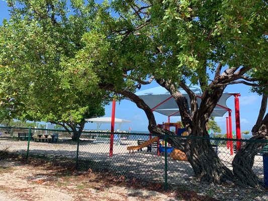 HARRY HARRIS PARK - Updated June 2024 - 80 Photos & 54 Reviews - 53 ...