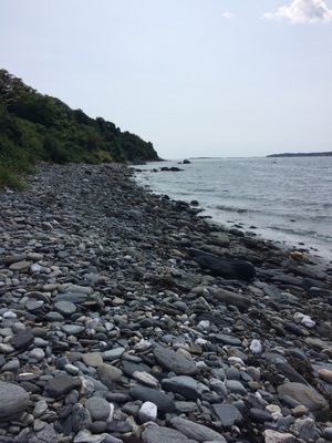 GOOSEWING BEACH - Updated January 2026 - 12 Photos - 106 S Shore Rd ...