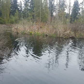 CLARK LAKE PARK - Updated January 2026 - 87 Photos & 34 Reviews - 12655 ...