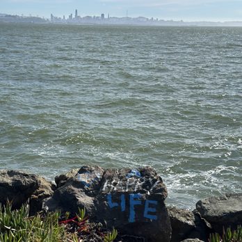 CESAR CHAVEZ PARK - Updated October 2024 - 521 Photos & 179 Reviews ...