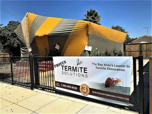 PROVEN TERMITE SOLUTIONS - Updated December 2025 - 133 Photos & 456 ...
