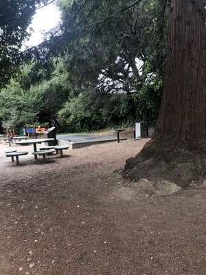 FROG PARK - 60 Photos & 47 Reviews - 5500 Claremont Ave, Oakland, CA - Yelp