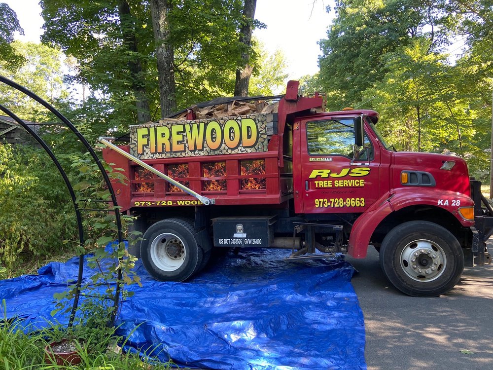 RJS TREE SERVICE - Updated October 2025 - 13 Photos & 25 Reviews - 62 ...