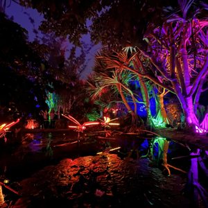 LIGHTSCAPE SAN DIEGO - Updated December 2025 - 278 Photos & 73 Reviews ...
