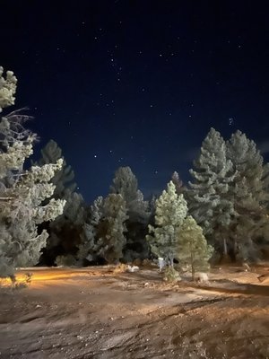 CAMP AREV RETREAT AND CONFERENCE CENTER - Updated October 2025 - 40 ...