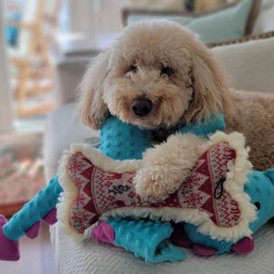 SEASIDE PUPS - Updated September 2025 - 5544 Cynthia Ln, Naples ...