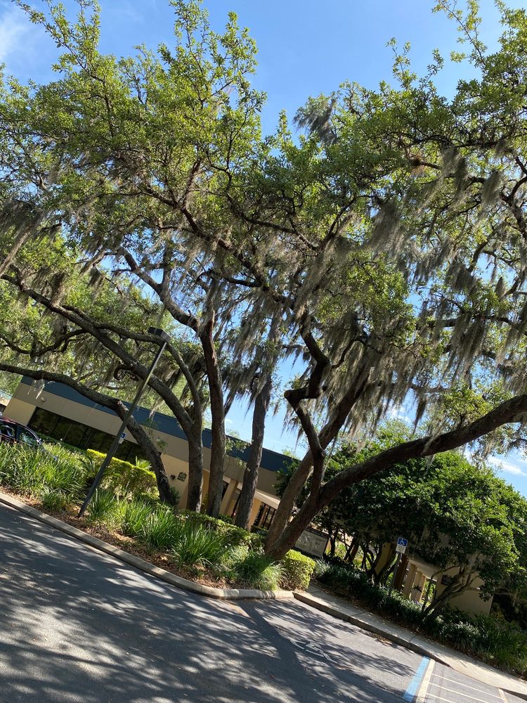 OVIEDO MEDICAL CENTER - Updated April 2025 - 24 Photos & 127 Reviews ...