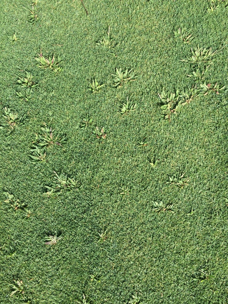 COLD SPRING COUNTRY CLUB - 16 Reviews - 336 Chauncey Walker St ...