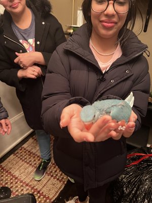 EMPIRE PARROTS - Updated October 2024 - 26 Photos - 239 Ocean Ave, New ...