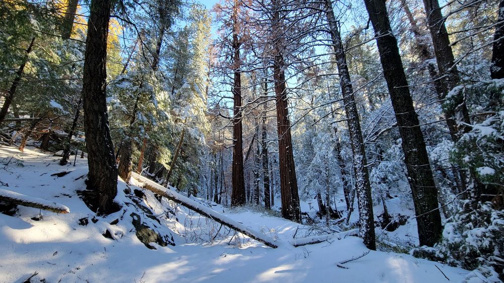 JENKS LAKE - Updated June 2025 - 207 Photos & 46 Reviews - 34701 Mill ...