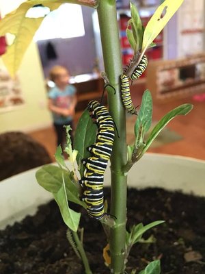 GROW SMART CHILDREN’S ACADEMY - Updated June 2026 - 30 Photos & 23 ...