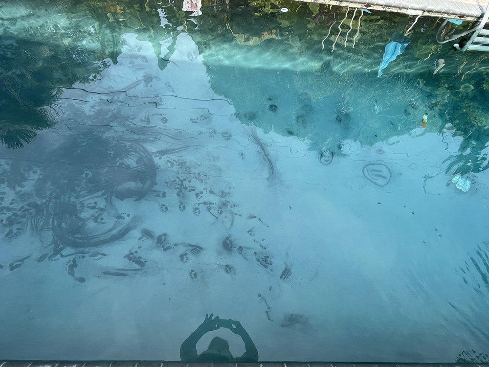 CF POOLS SPAS & WATER FEATURES - Updated May 2024 - 468 Ridgewood Ave ...